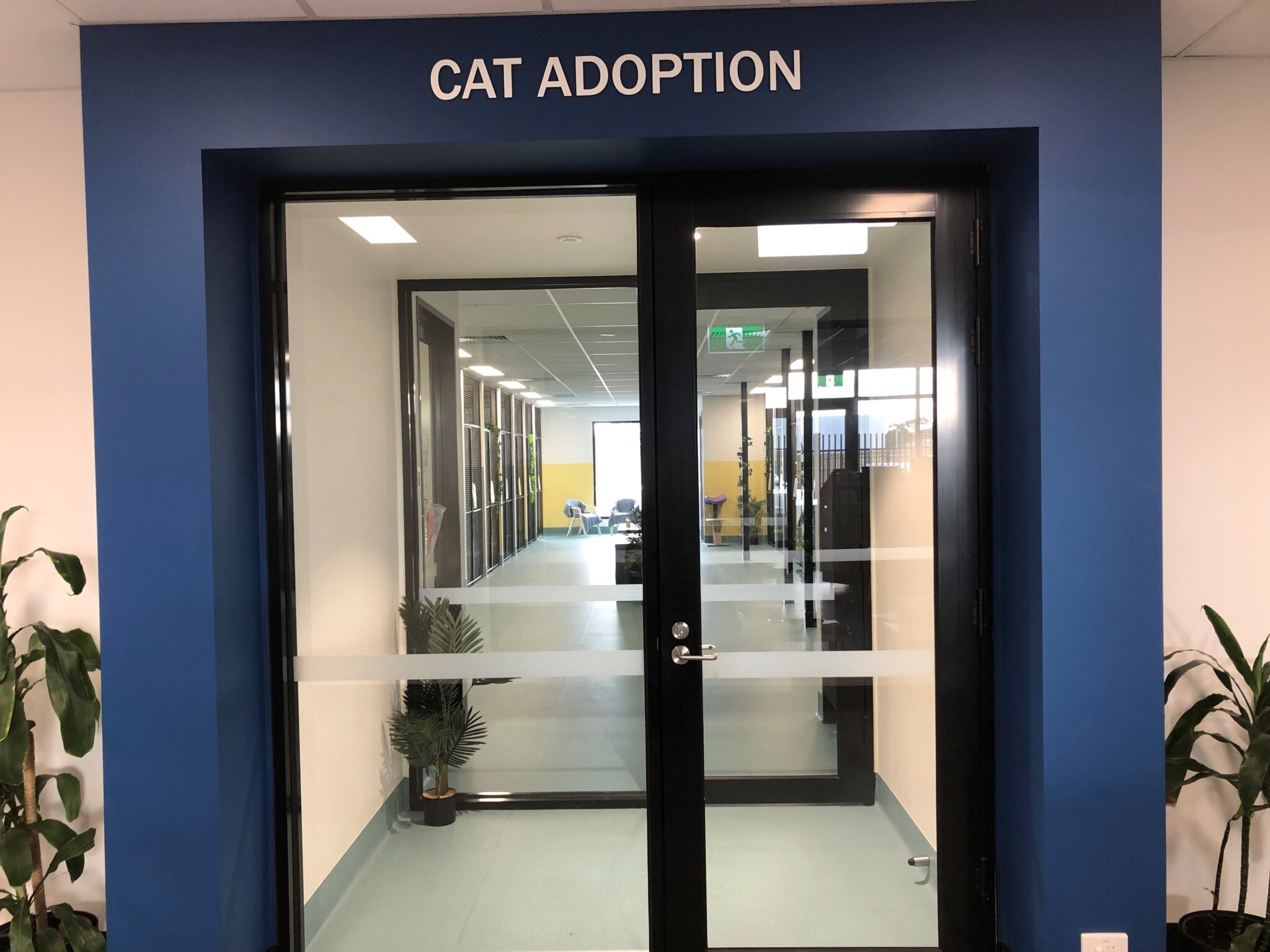 Gallery – Australian Animal Protection Society